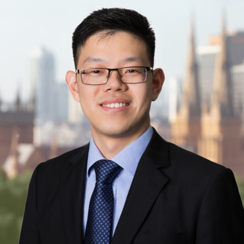 Michael LIm | Partner | Project Lawyers